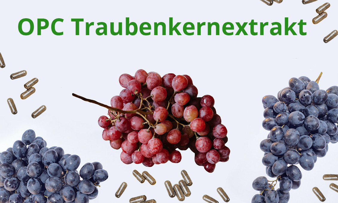 OPC Traubenkernextrakt: Wirkung und Erfahrungen